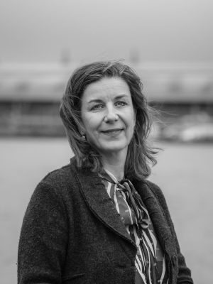 homepage - The China Connector